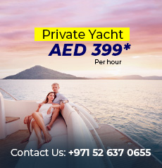 Elevate Trips Settle For More